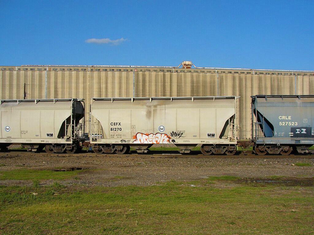 CEFX 81270 & CRLE 527523